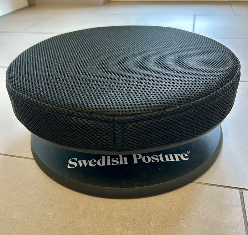 Swedish Posture Posture Balance Core (Neu (gemäss Beschreibung)) in ...