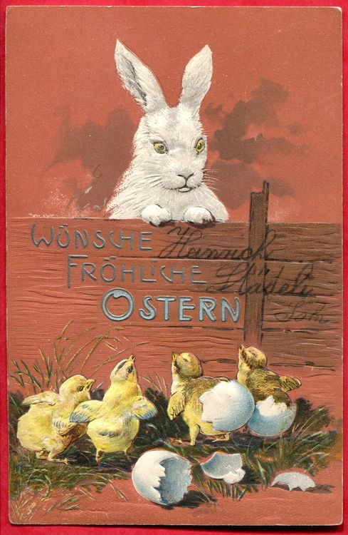 AK 1906 geprägt Haas wünscht fröhliche OSTERN ötwil am see (Gebraucht ...