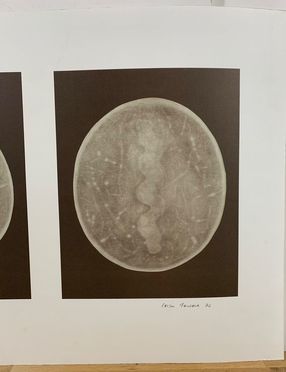 Corsin FONTANA (1944) Lithographie Handsigniert | Kaufen auf Ricardo