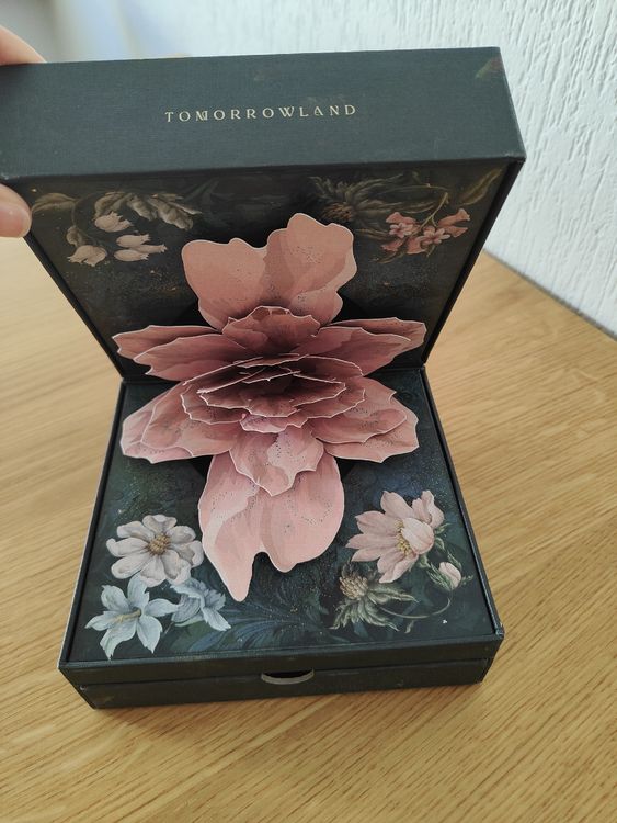 Tomorrowland Box 2024 Ticketbox | Kaufen auf Ricardo