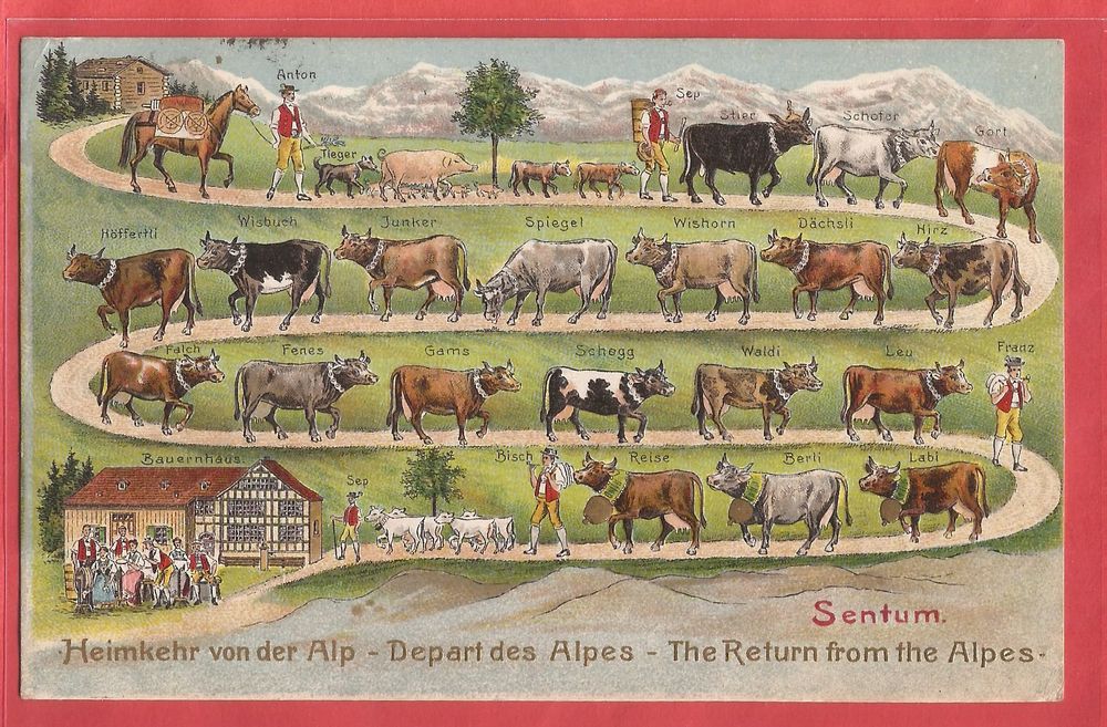 Alpabzug - Heimkehr von der Alp - Prägekarte 1910 | Kaufen auf Ricardo