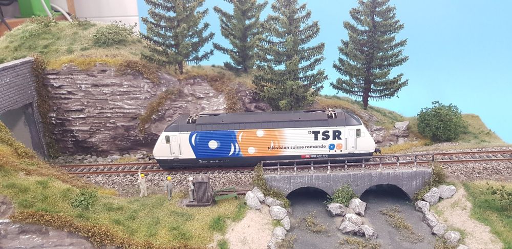 AC Märklin SBB Re 460 015 TSR digital Delta Code 78 (Gebraucht) in Regensdorf für CHF 130 – mit ...