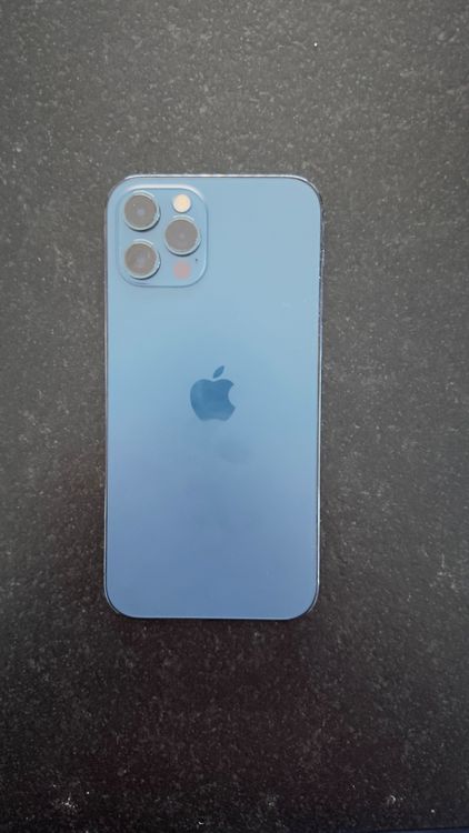 iPhone 12 Pro bleu pacifique (Gebraucht) in Develier für CHF 465 – mit ...