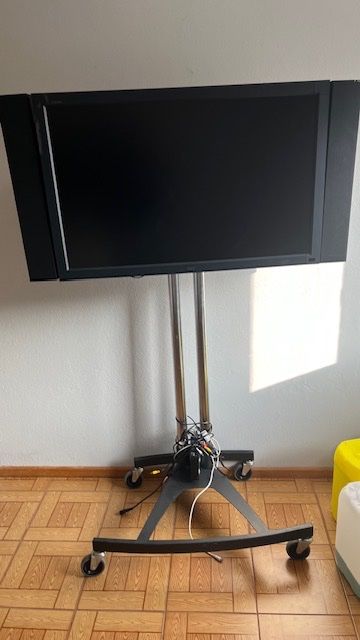 NEC TV , mit stabilem schwerem Gestell , kippsicher | Kaufen auf Ricardo