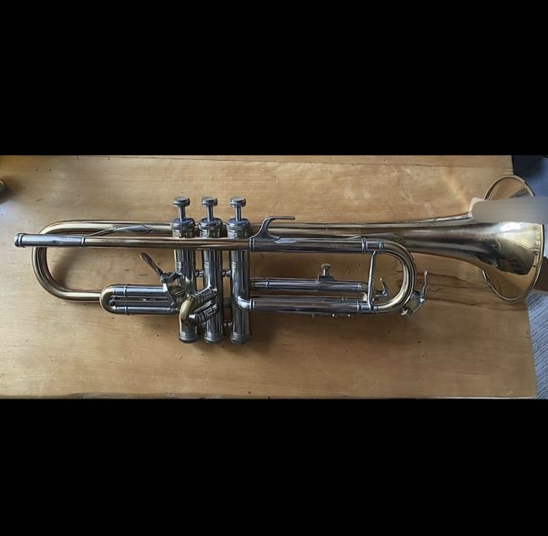 Gebr. Alexander Mainz B Trompete mit Koffer! (Gebraucht) in Zürich für ...