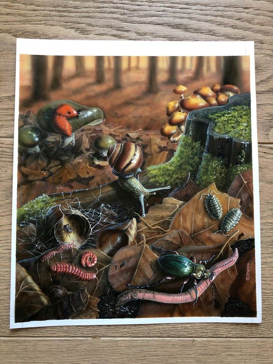 Original Bild Insekten im Wald, handgemalt | Kaufen auf Ricardo