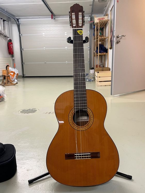 Gitarre (Gebraucht) in Mörschwil für CHF 50 – nur Abholung auf Ricardo ...