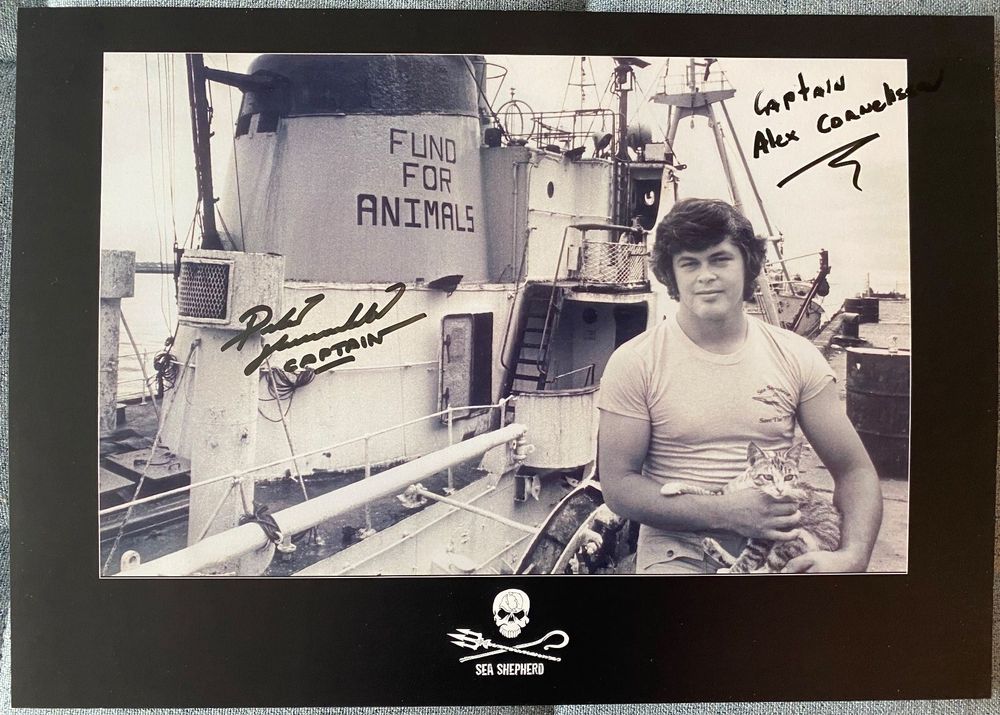 Poster von Sea Shepherd (Gebraucht) in Besazio für CHF 26 – mit ...