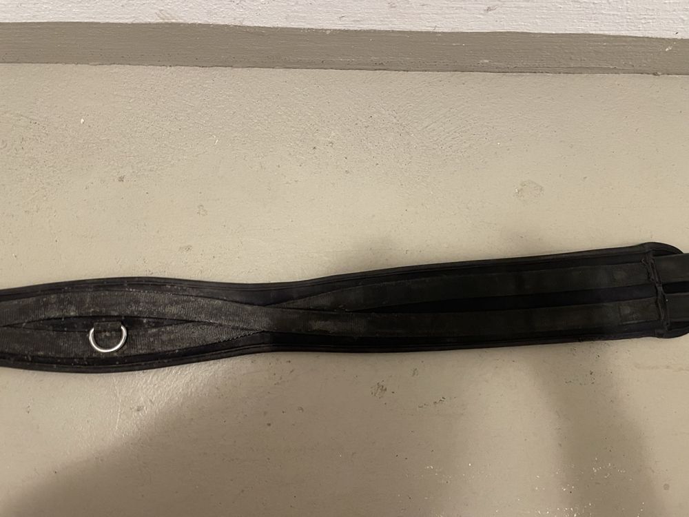 Sattelgurte ca 145cm (Gebraucht) in menzingen für CHF 15 – mit Lieferung auf Ricardo kaufen