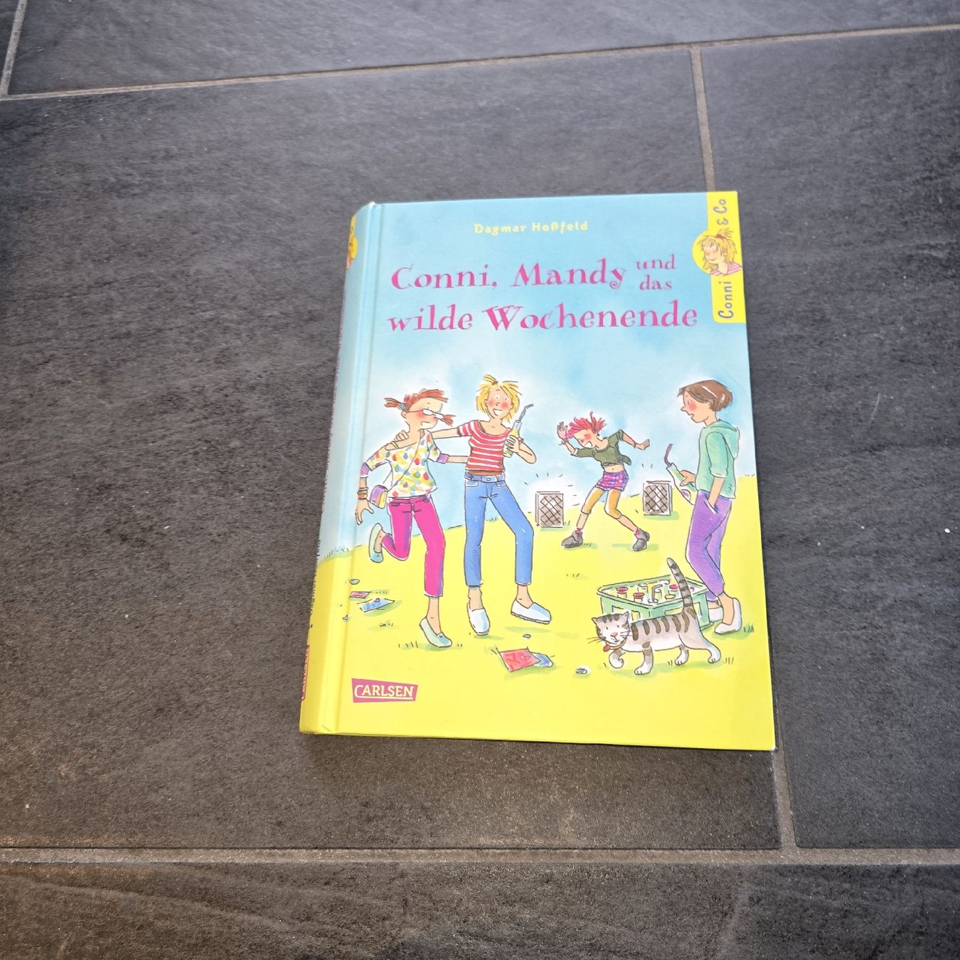 Conni, Mandy und das wilde Wochenende - Jugendbuch Carlsen (Neu (gemäss ...