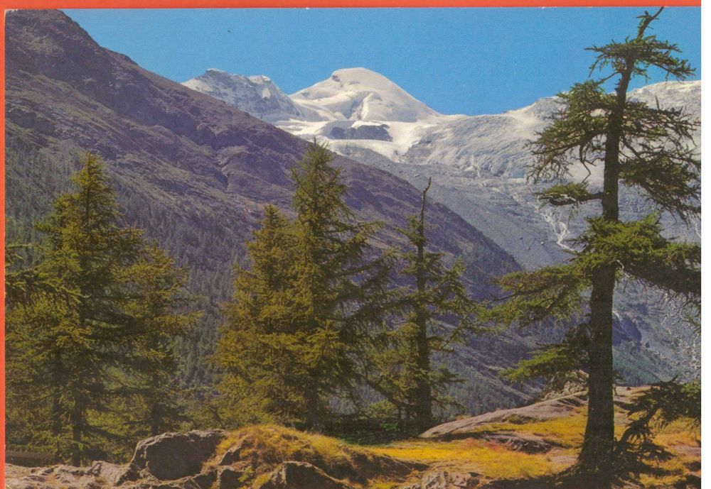 1959 BEI SAAS - FEE - VS - ALLALINHORN - PRACHTANSICHT (Gebraucht) in Montebelluna / TV für CHF ...