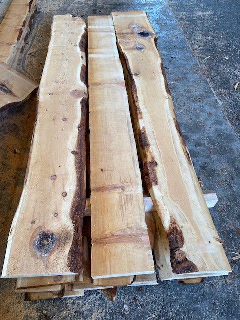 Bretter/Arve/Pack 3 (Neu (gemäss Beschreibung)) in Ichertswil für CHF ...