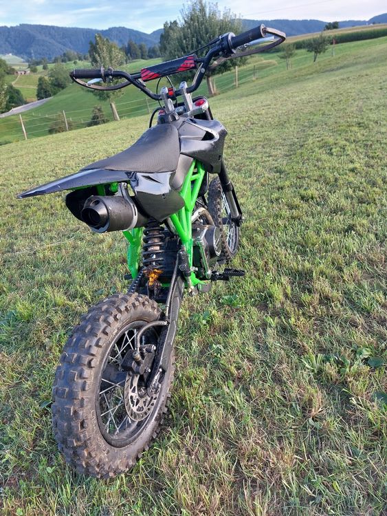 Pit Bike 125ccm Knight (Gebraucht) in Rothenthurm für CHF 590 – nur Abholung auf Ricardo kaufen