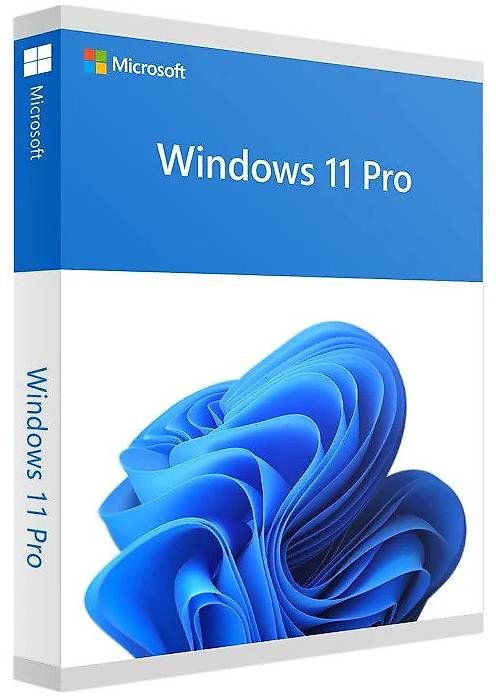 Windows 11 Professional, OEM-Schlüssel Digitalversand (Neu und ...