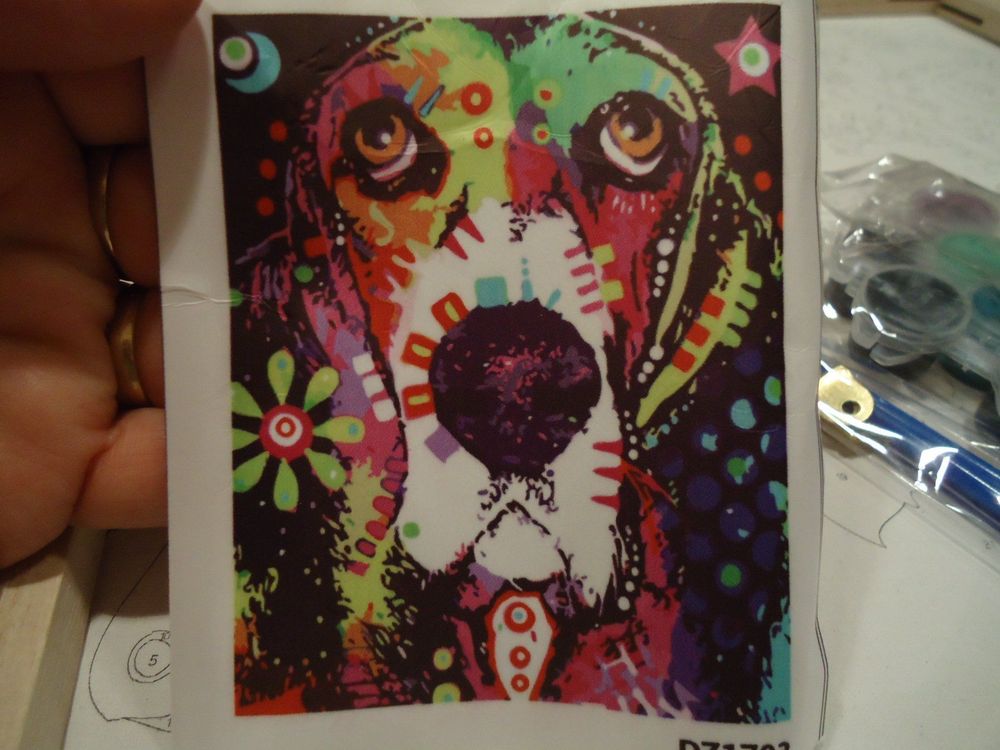 neu! Malen nach Zahlen, 40 x 50 cm, alles dabei + Rahmen | Kaufen auf Ricardo