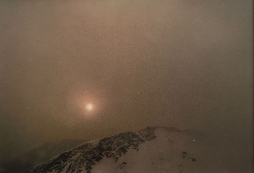 Gerhard Richter 2 Farbdrucke "Davos 1981" | Kaufen auf Ricardo