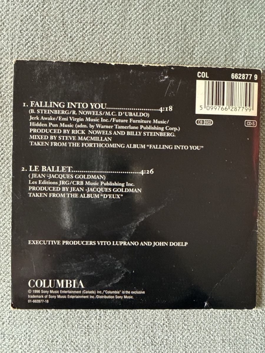 Cd 2t Céline Dion Falling into you (D'occasion) à Genève pour CHF 1.5 ...