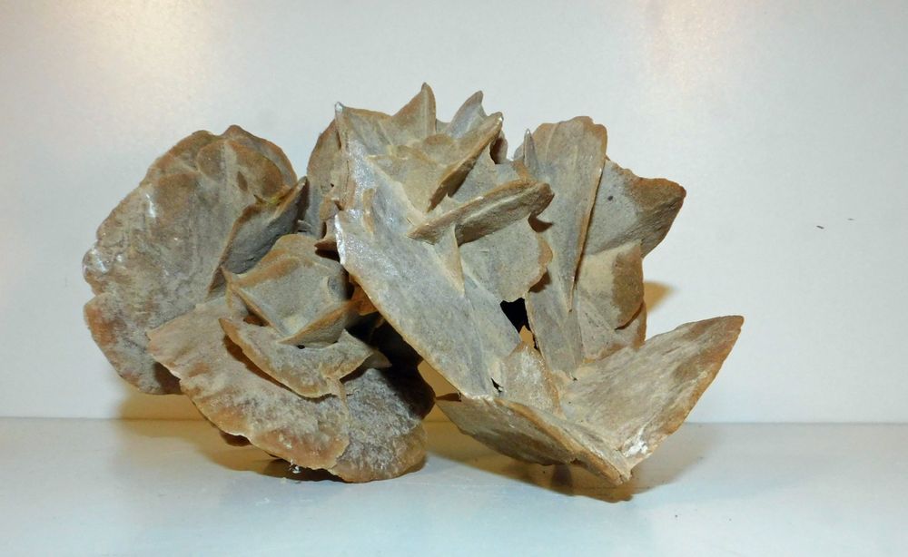 Sandrose spezielle grosse Sandrose Mineralien Fossilien | Kaufen auf ...
