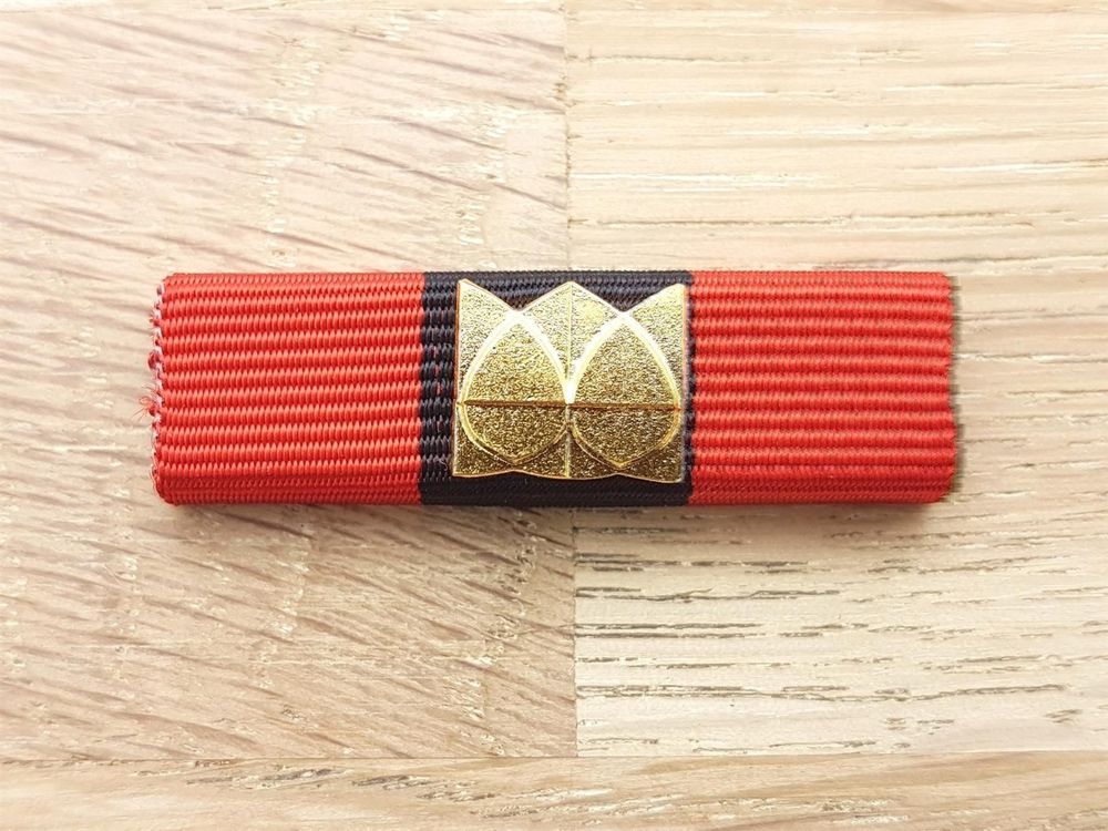 Ribbon Sport Stufe 3 Wettkampf Ausz (Neu (gemäss Beschreibung)) in ...