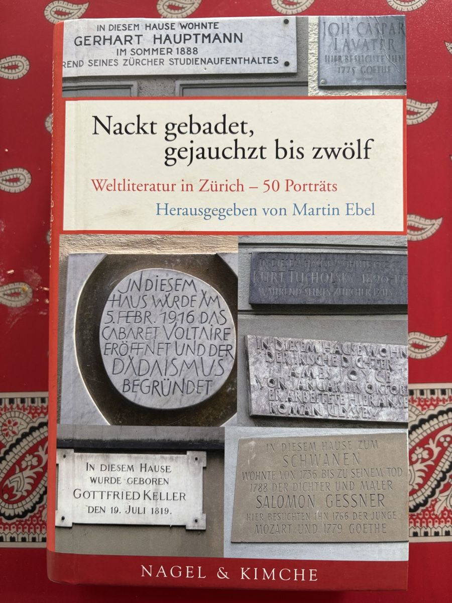 7 Bücher: Schweizer Autoren, Romane, Top Zustand! (Neu (gemäss ...