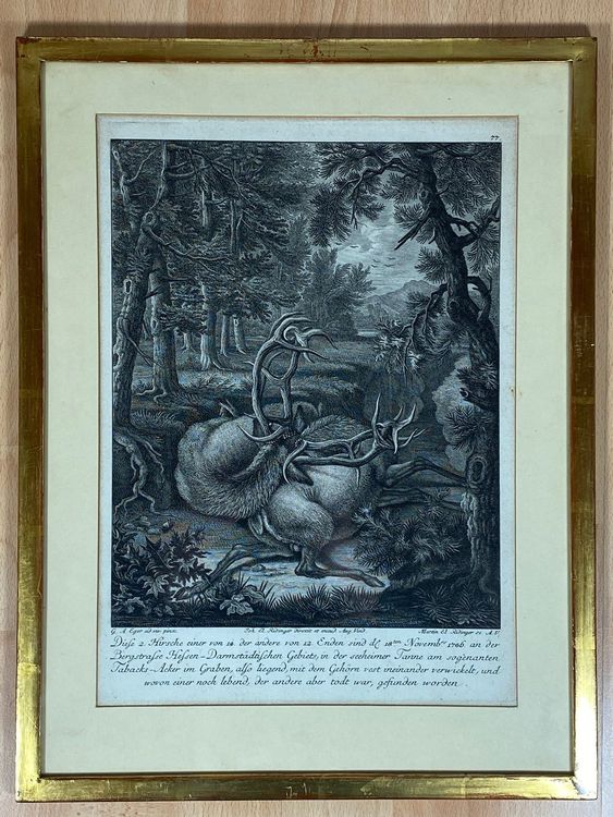 Kupferstich Ridinger Hirsch Geweih Jagd (Gebraucht) in Vaduz für CHF 69 – mit Lieferung auf ...