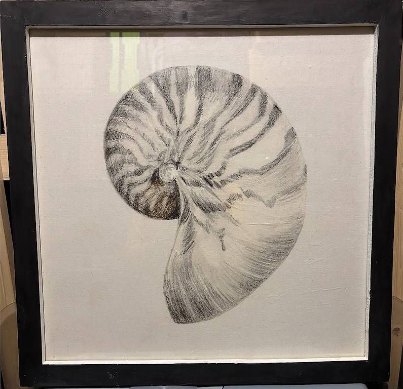 2 Tableaux coquillages (D'occasion) à Arbaz pour CHF 55 – retrait ...