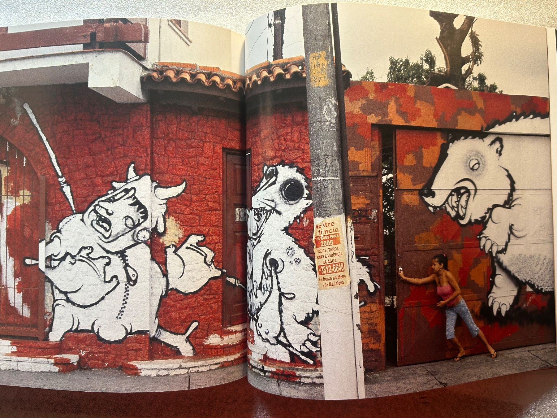 Graffiti Brasil - Tristan Manco Lost Art Caleb Neelon (Gebraucht) in La ...