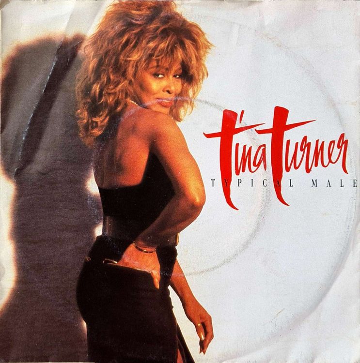Tina Turner - Typical Male (Gebraucht) in Obernau für CHF 5 – mit ...