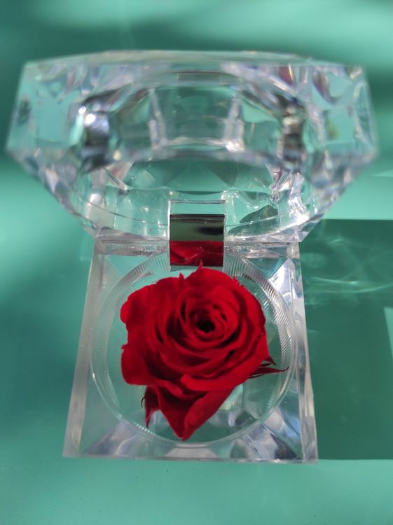 Rose rouge éternelle dans son coffret | Kaufen auf Ricardo
