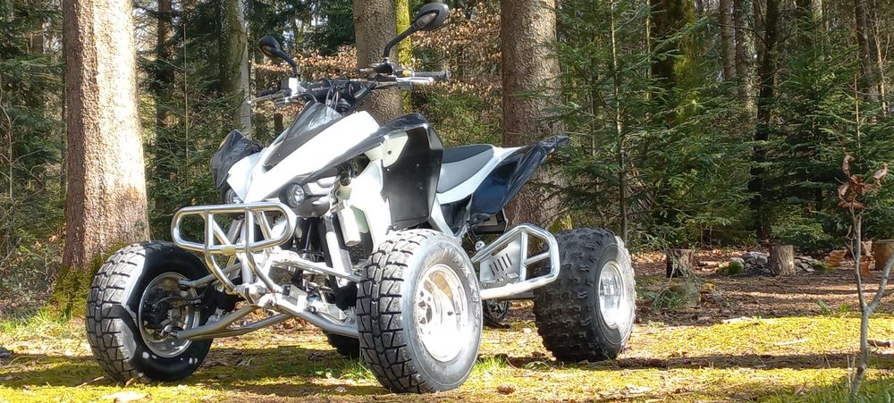Kawasaki KFX 450 | Kaufen auf Ricardo