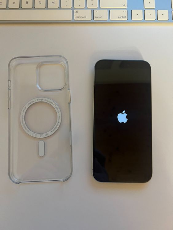 iPhone 16 Pro Max - Titan Weiss | Kaufen auf Ricardo