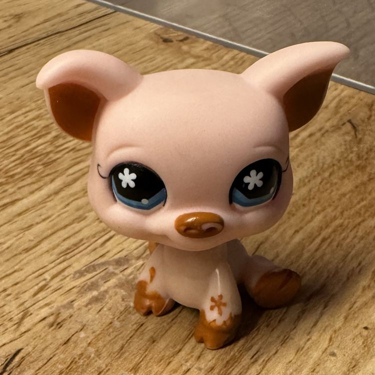 LPS Littlest Pet Shop Schweinchen #732 (Gebraucht) in Büetigen für CHF ...