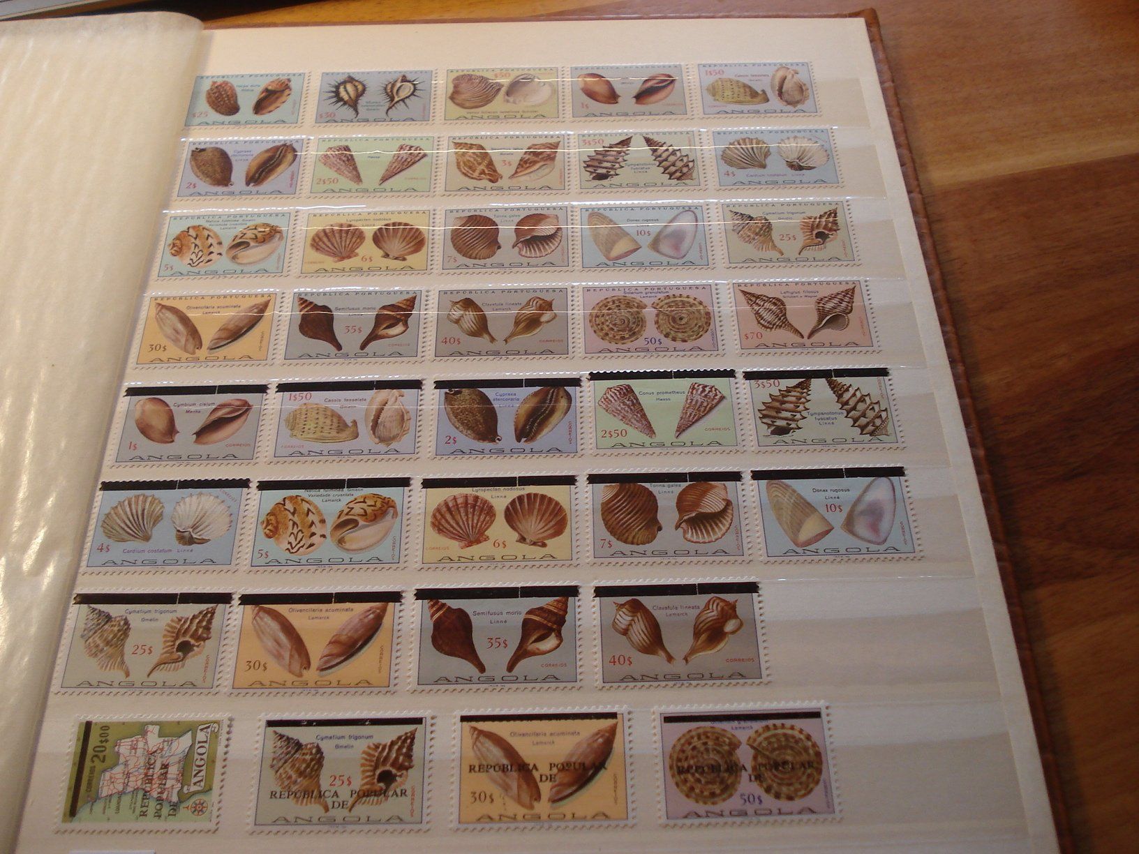 3 Sätze Angola um 1965 ** Muscheln, zT mit Überdruck (Gebraucht) in ...