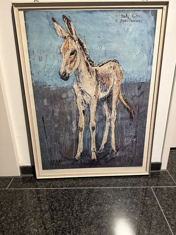 Bild von HUG, Druck (Gebraucht) in Wettswil für CHF 39 – nur Abholung ...