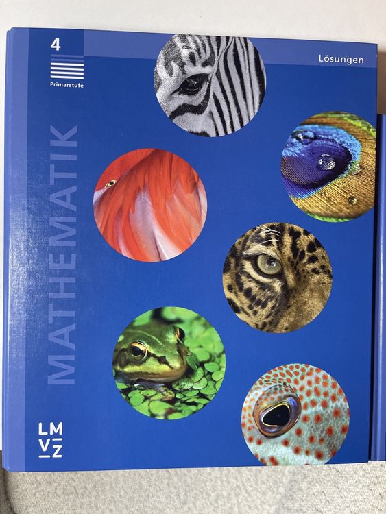LMVZ Mathematik Primar Stufe 4 Themenbuch und Lösungen (Neu (gemäss ...