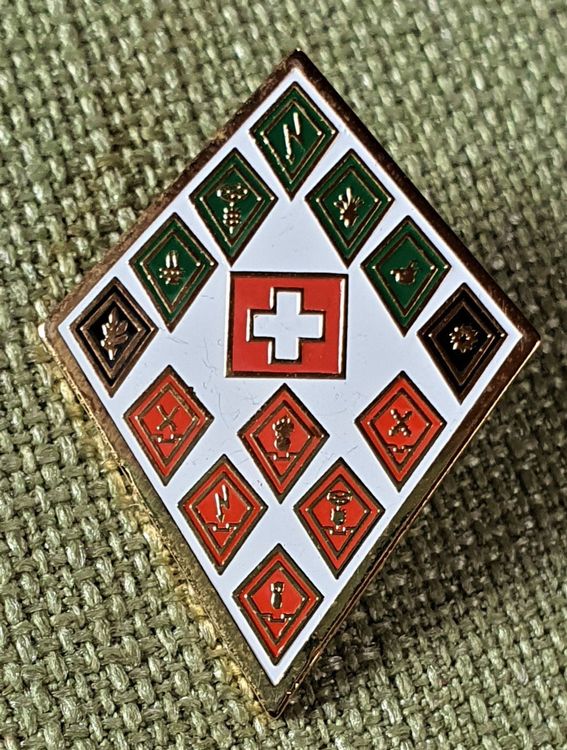 F550 - Pin Schweizer Militär Abzeichen (Gebraucht) in Reinach BL für CHF 6.1 – mit Lieferung auf ...