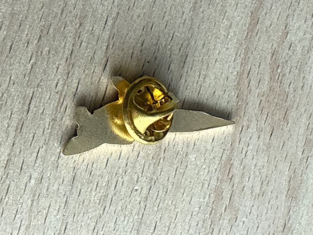 Pin U.S. Air Force SR-71 (Gebraucht) in Glattbrugg für CHF 1 – mit ...