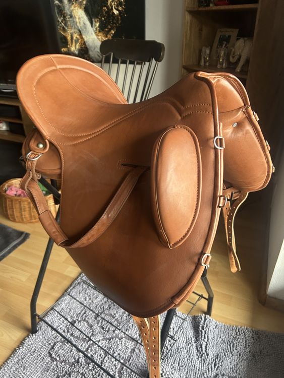 Signum Working Equitation (Neu und originalverpackt) in Tenniken für ...