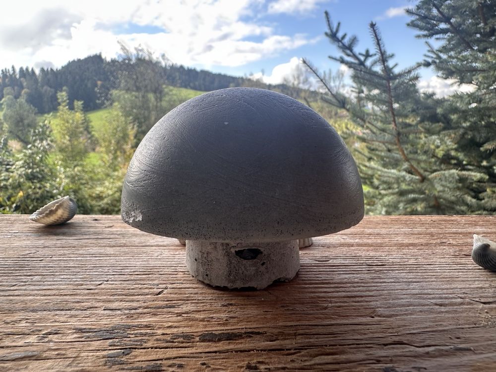 Beton Deko Pilz Garten Herbstdeko Handgemacht Unikat | Kaufen auf Ricardo