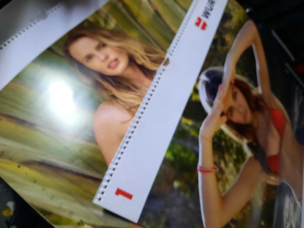 Wurth Kalender 2019 Models