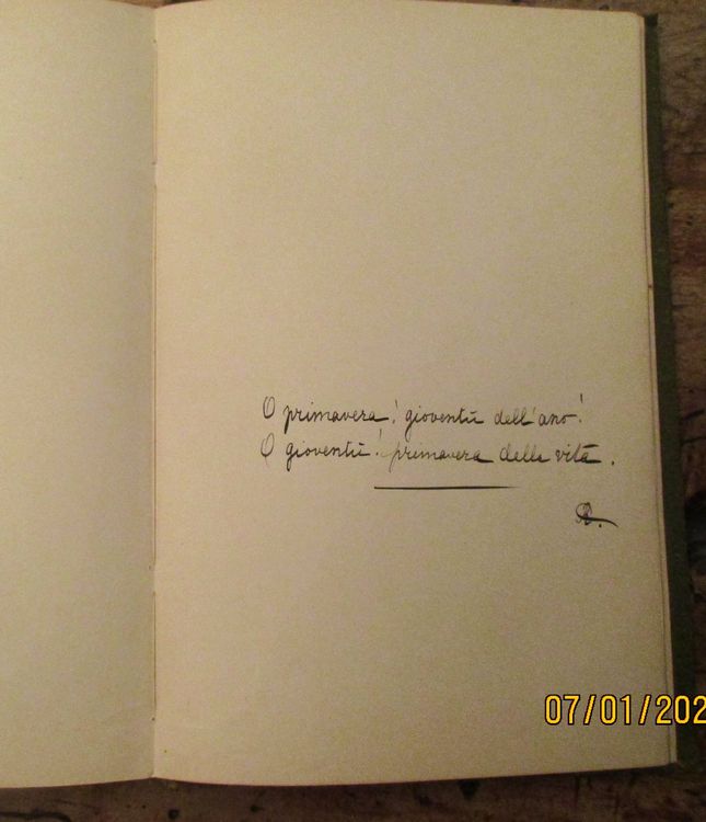 2 x Poesie Album 1904+1883 schöne Gedichte, Bilder+Einbände! (Gebraucht ...