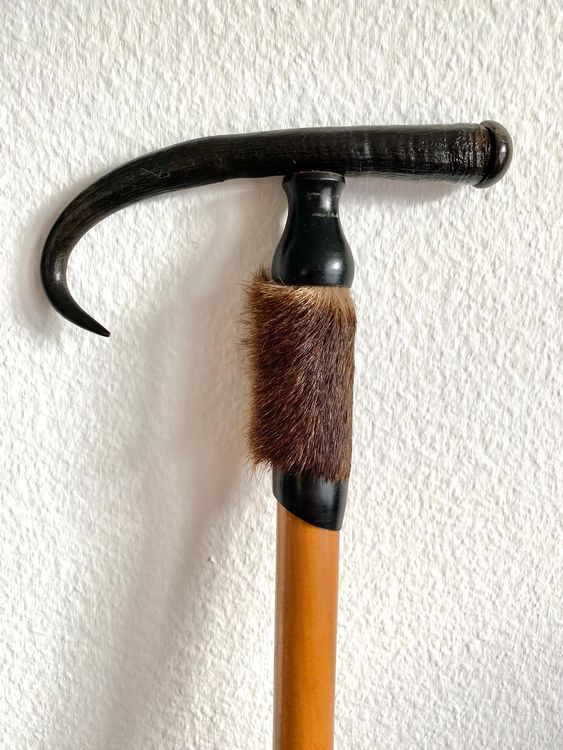 Spazierstock mit echtem Gamshorn | Kaufen auf Ricardo