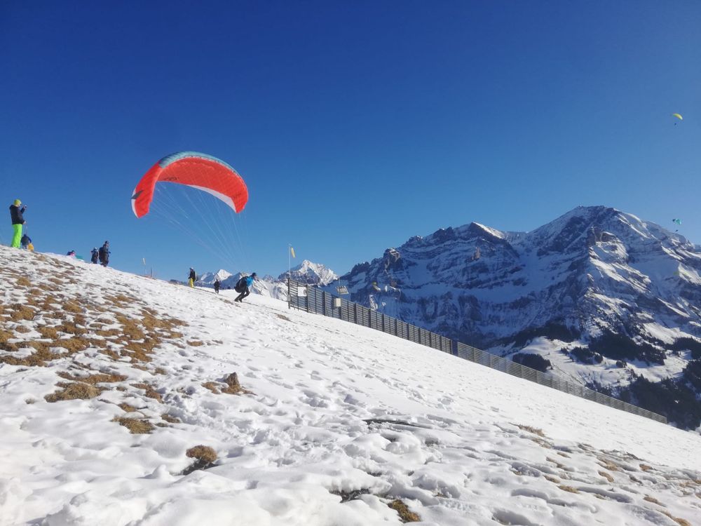 Gleitschirm von Advance, Alpha 7.28 fire (Gebraucht) in für CHF 1810 ...