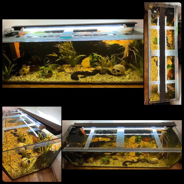 Aquarium komplett | Kaufen auf Ricardo