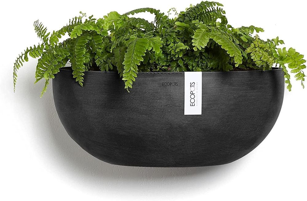 3 Stück ECOPOTS Sofia Wall (Neu und originalverpackt) in Rebstein für ...