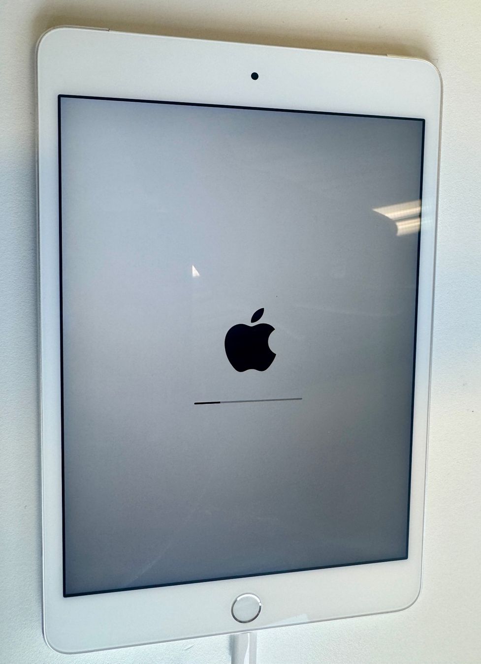 iPad mini 4 128GB Silver WiFi+Cellular Top Zustand (Gebraucht) in ...