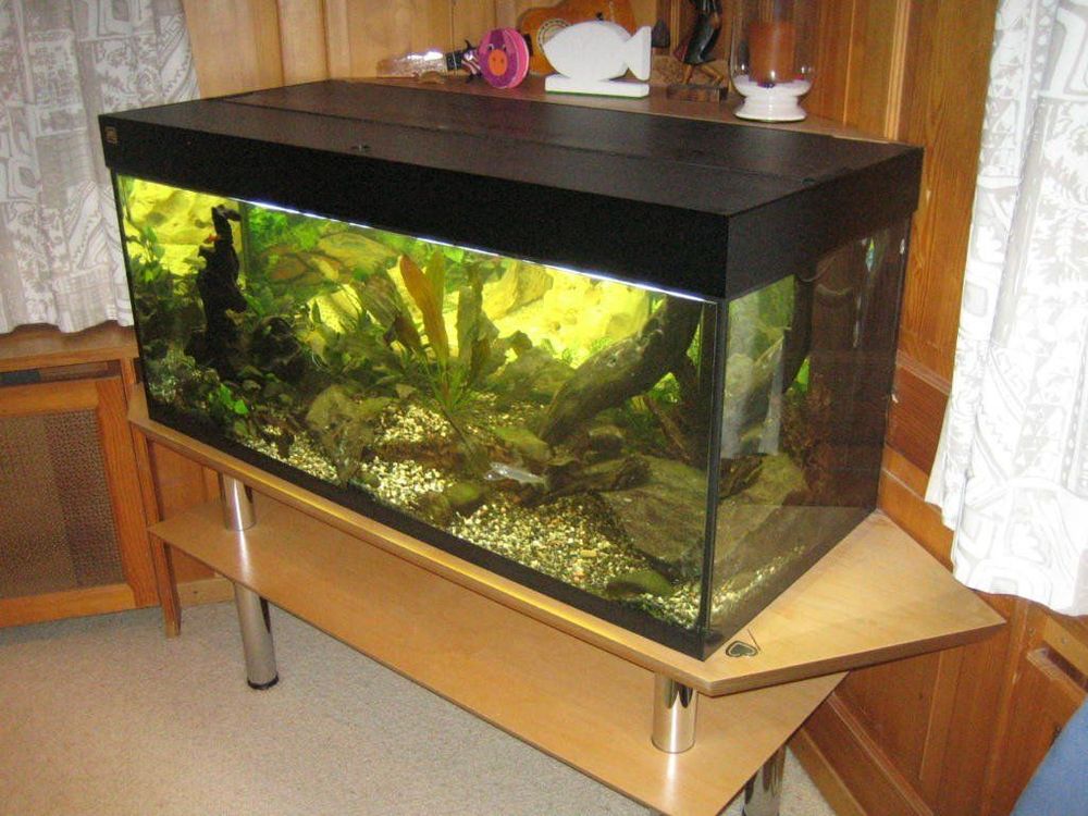 Aquarium 300l | Kaufen auf Ricardo