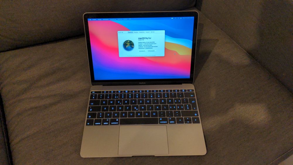 MacBook (Retina, 12-inch, Early 2015) - Model A1534 | Kaufen auf Ricardo