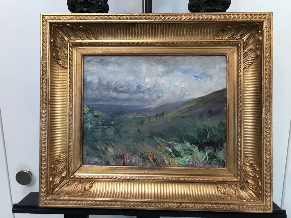 ROTHNEY NINA 1877-1970 (Gebraucht) in Wolfhalden für CHF 350 – mit ...
