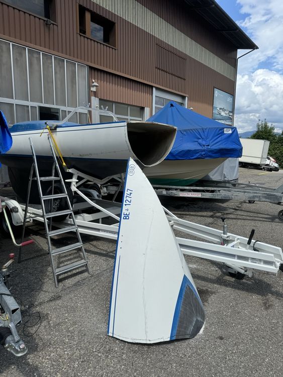 Segelboot | Bug [Drachen] (Gebraucht) in Weesen für CHF 1 – nur ...